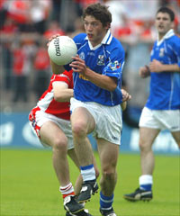 Granite-like Gaynor - HoganStand