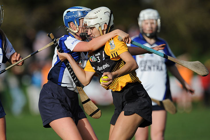 Meath camogie league finals - HoganStand