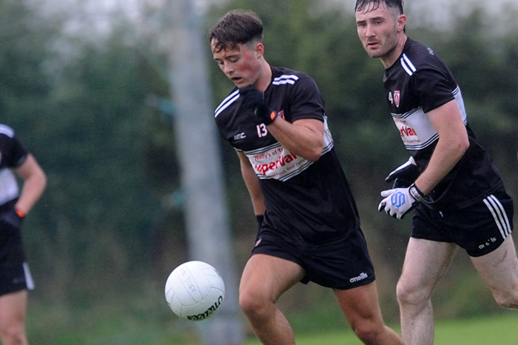 Tailteann Cup: Two from two for Dunderry - HoganStand