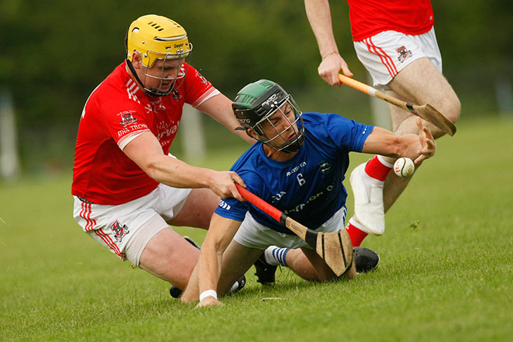 Div 1 HL final: Trim retain O'Growney Cup - HoganStand