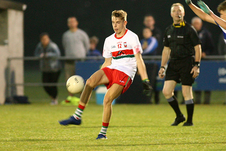 Meath - HoganStand