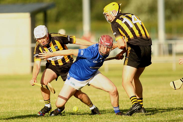 HL Div 2 final: Second title in three days for Kildalkey - HoganStand