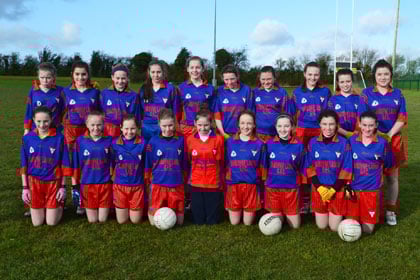 Dunboyne victorious in County u-13 final - HoganStand