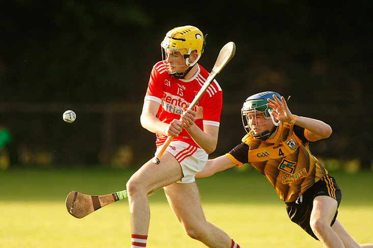 Minor hurling championship fixtures - HoganStand