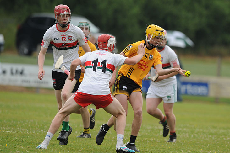 Minor Hurling Championship down to last four - HoganStand
