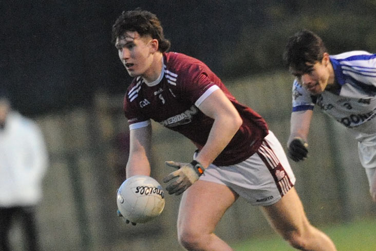 FL Div 3: Vincents defeat Nobber and Storm Kathleen - HoganStand