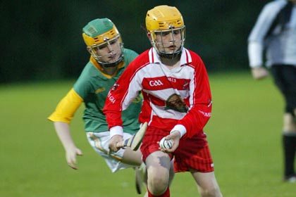 U14HC: Drumree take first ever crown - HoganStand