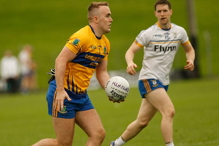 HS Meath Awards: SFC footballer of the year - HoganStand