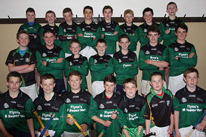 Feile na nGael: Honours even in Division 3 - HoganStand