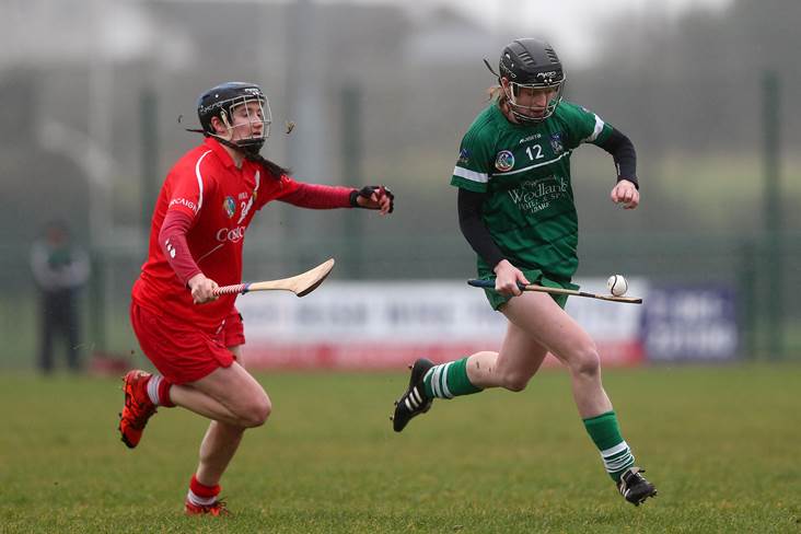 Camogie round-up: Limerick down All-Ireland champions - HoganStand